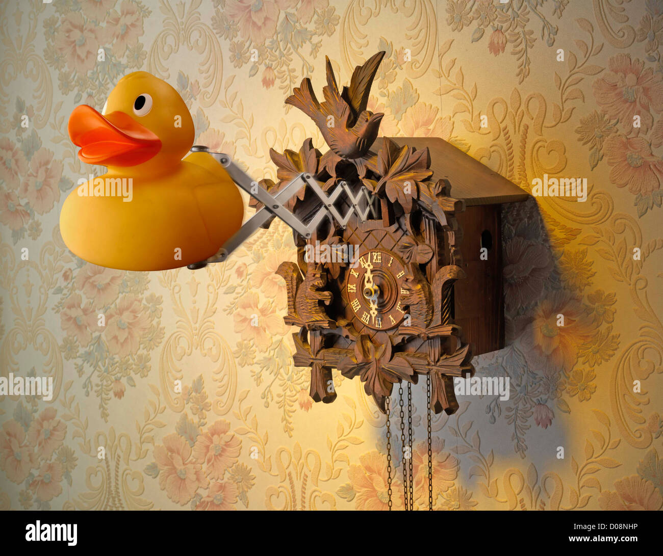 Kuckucks Uhr Stockfotos und -bilder Kaufen - Alamy