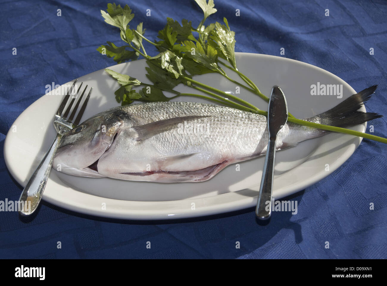 Mittelmeer fisch -Fotos und -Bildmaterial in hoher Auflösung – Alamy