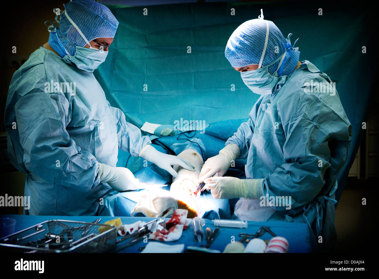Surgical pins -Fotos und -Bildmaterial in hoher Auflösung - Seite 2 - Alamy