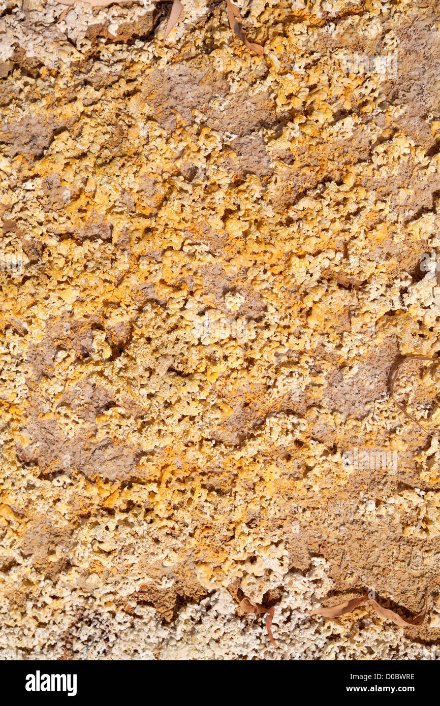 Sfondo acidato -Fotos und -Bildmaterial in hoher Auflösung – Alamy