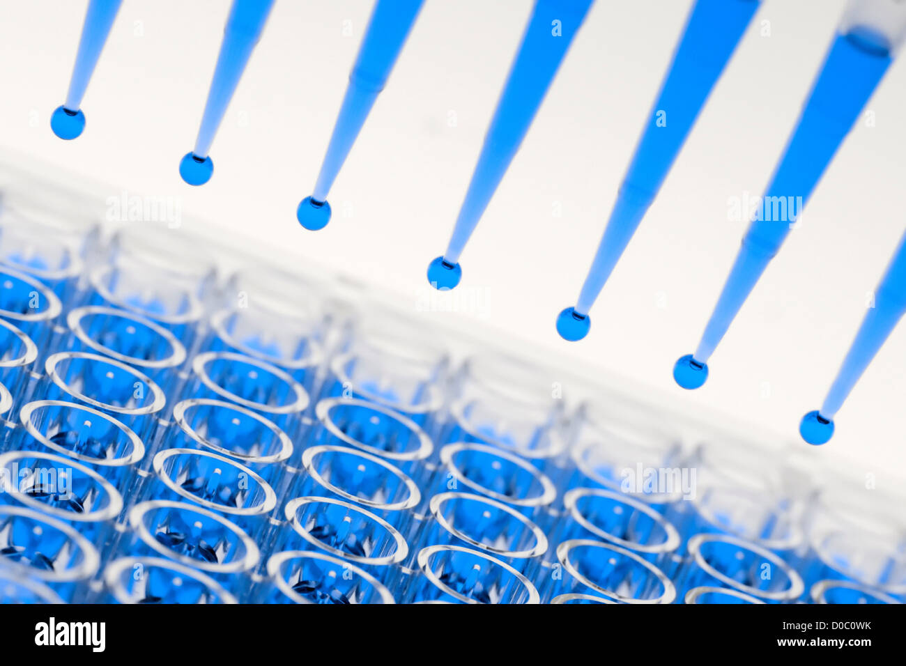 Multi-Kanal-Pipette Verzicht auf Probe in eine 96-Well-Platte ...