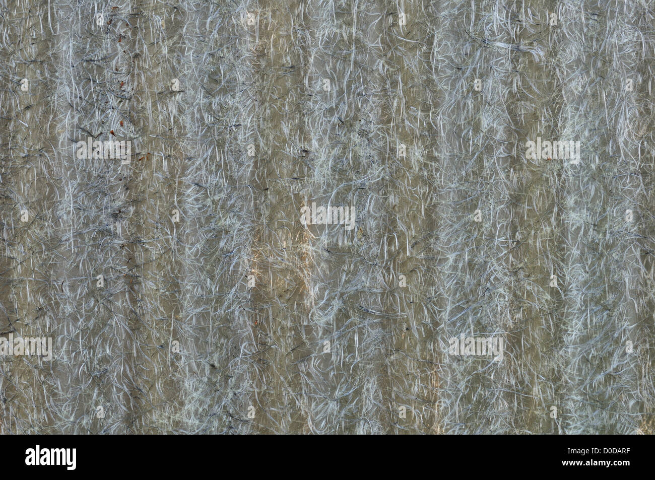 Hintergrund fiberglas -Fotos und -Bildmaterial in hoher Auflösung – Alamy