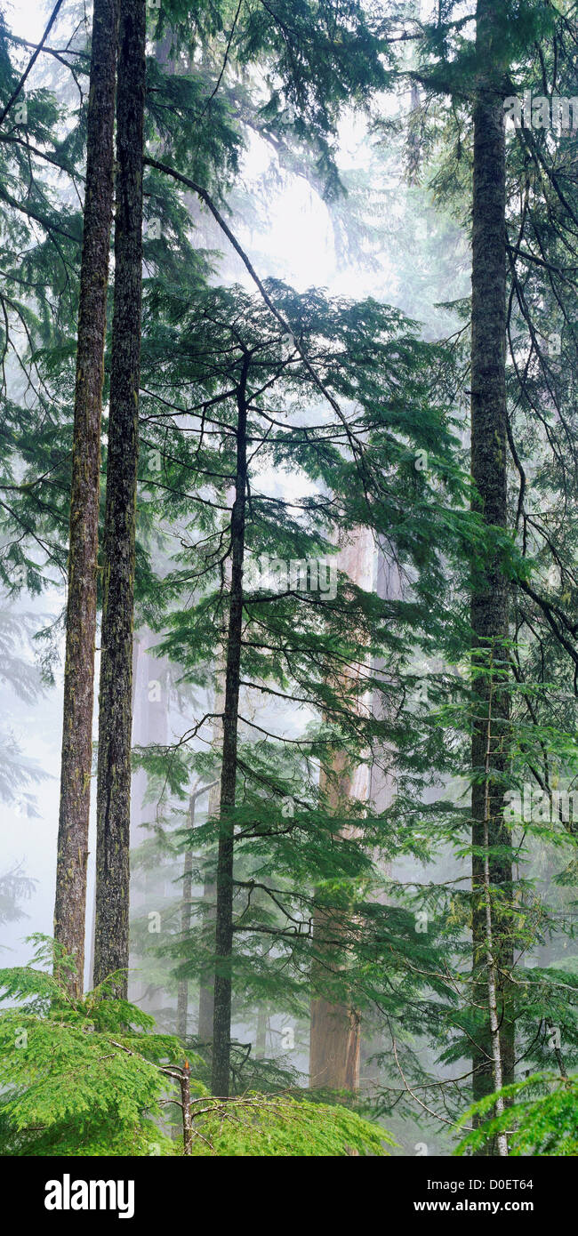 Mount carbon -Fotos und -Bildmaterial in hoher Auflösung – Alamy