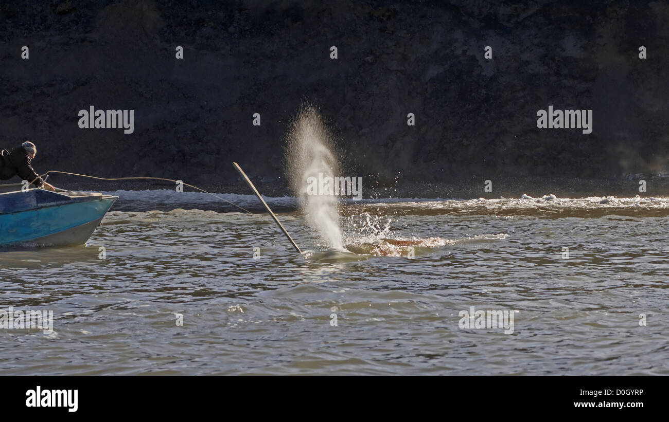 Whale Hunting Harpoon Stockfotos und -bilder Kaufen - Alamy