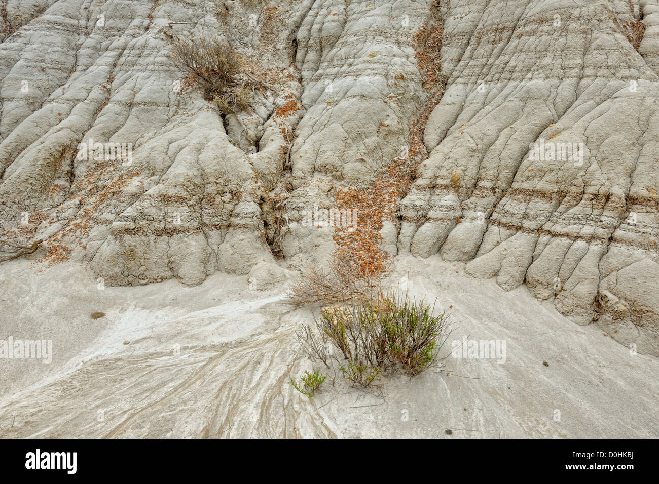Bentonit bluffs mit erodieren Tonstein-Schichten, Theodore Roosevelt NP ...