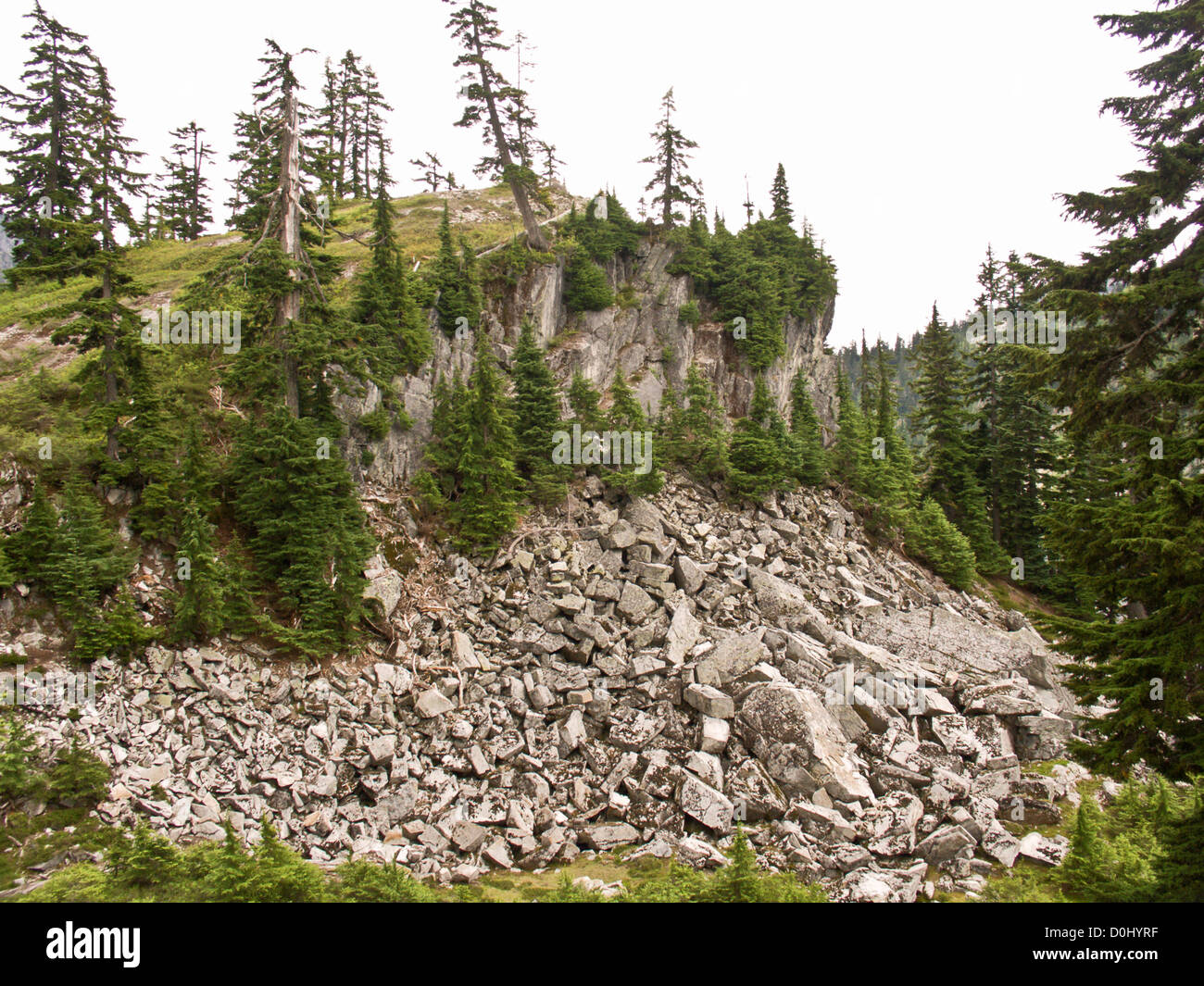 Talus scree -Fotos und -Bildmaterial in hoher Auflösung – Alamy