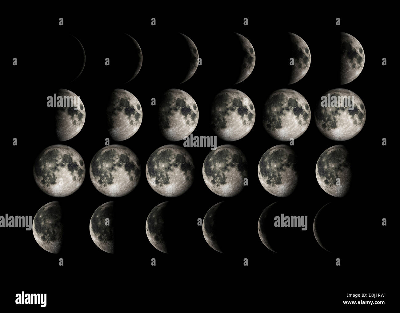 Phases of the moon illustration -Fotos und -Bildmaterial in hoher ...