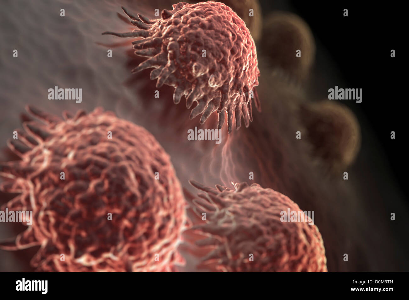 Scannen von Electromicrograph gestylt Osteoblasten Zellen, die mit der ...