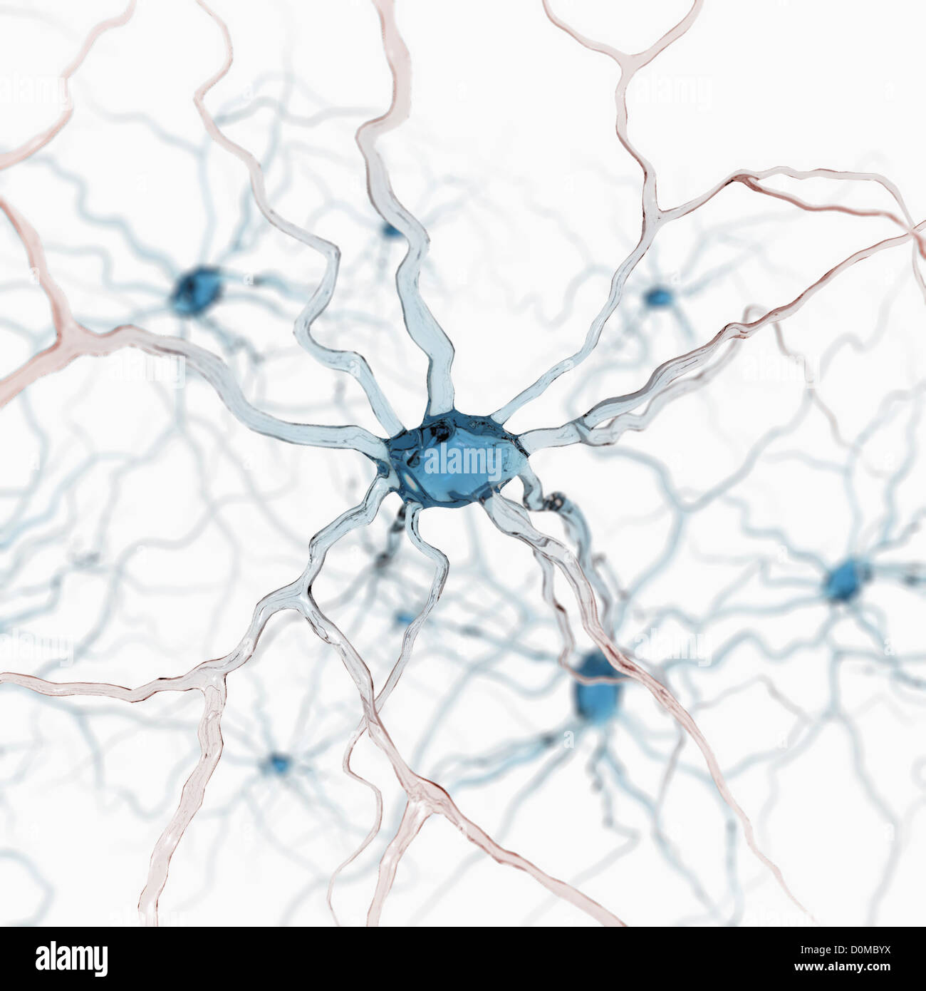Neuronen an Synapsen verbinden Stockfotografie - Alamy