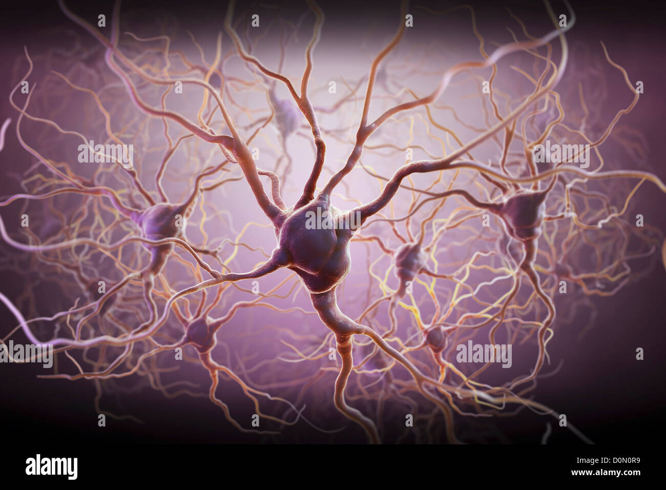 Neuronen und Erweiterungen zu anderen Neuronen verbinden ...