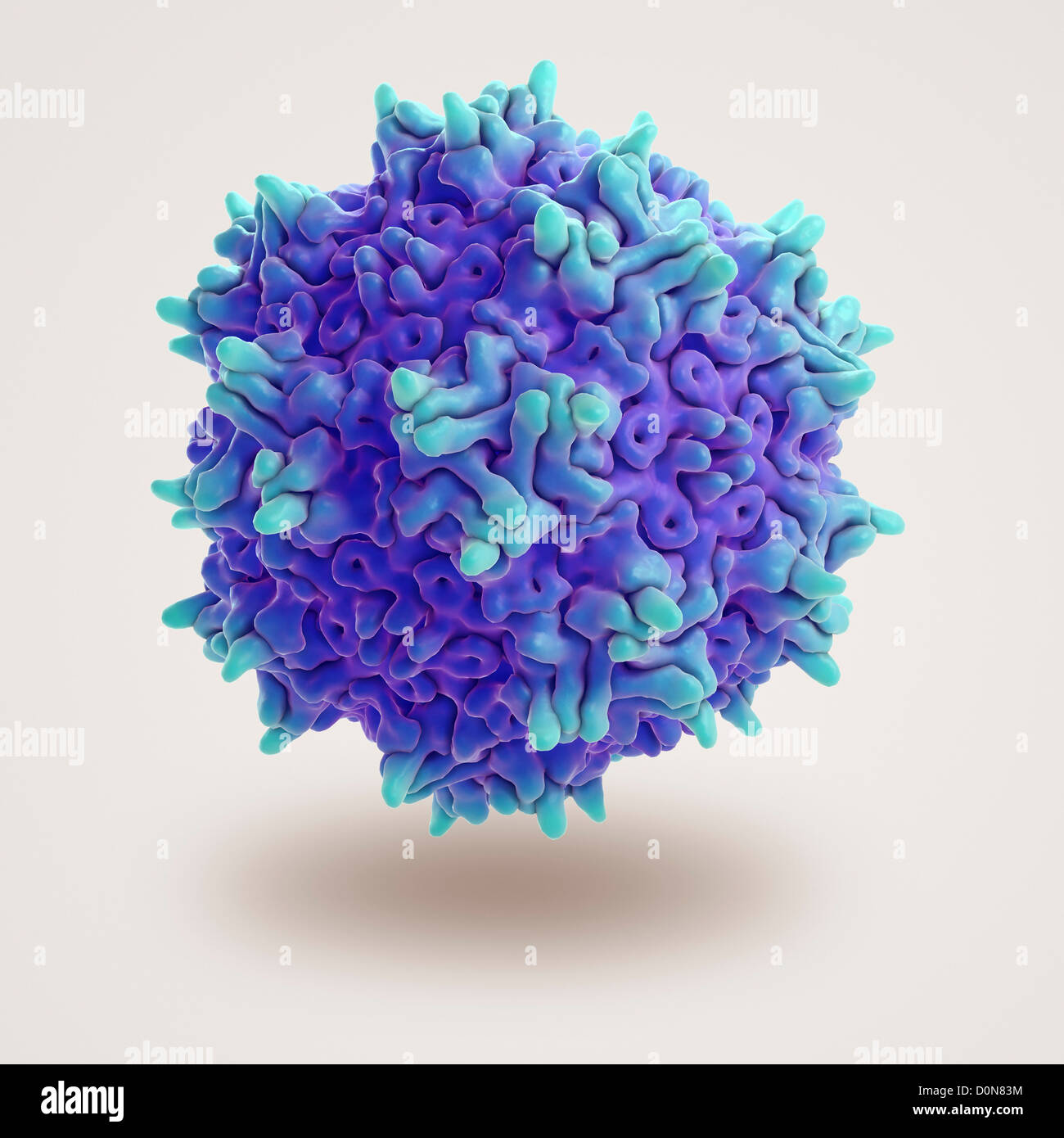Adeno associated virus -Fotos und -Bildmaterial in hoher Auflösung – Alamy
