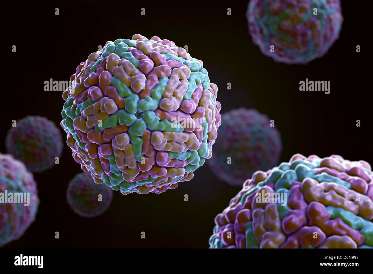 Gruppe dengue fieber -Fotos und -Bildmaterial in hoher Auflösung – Alamy