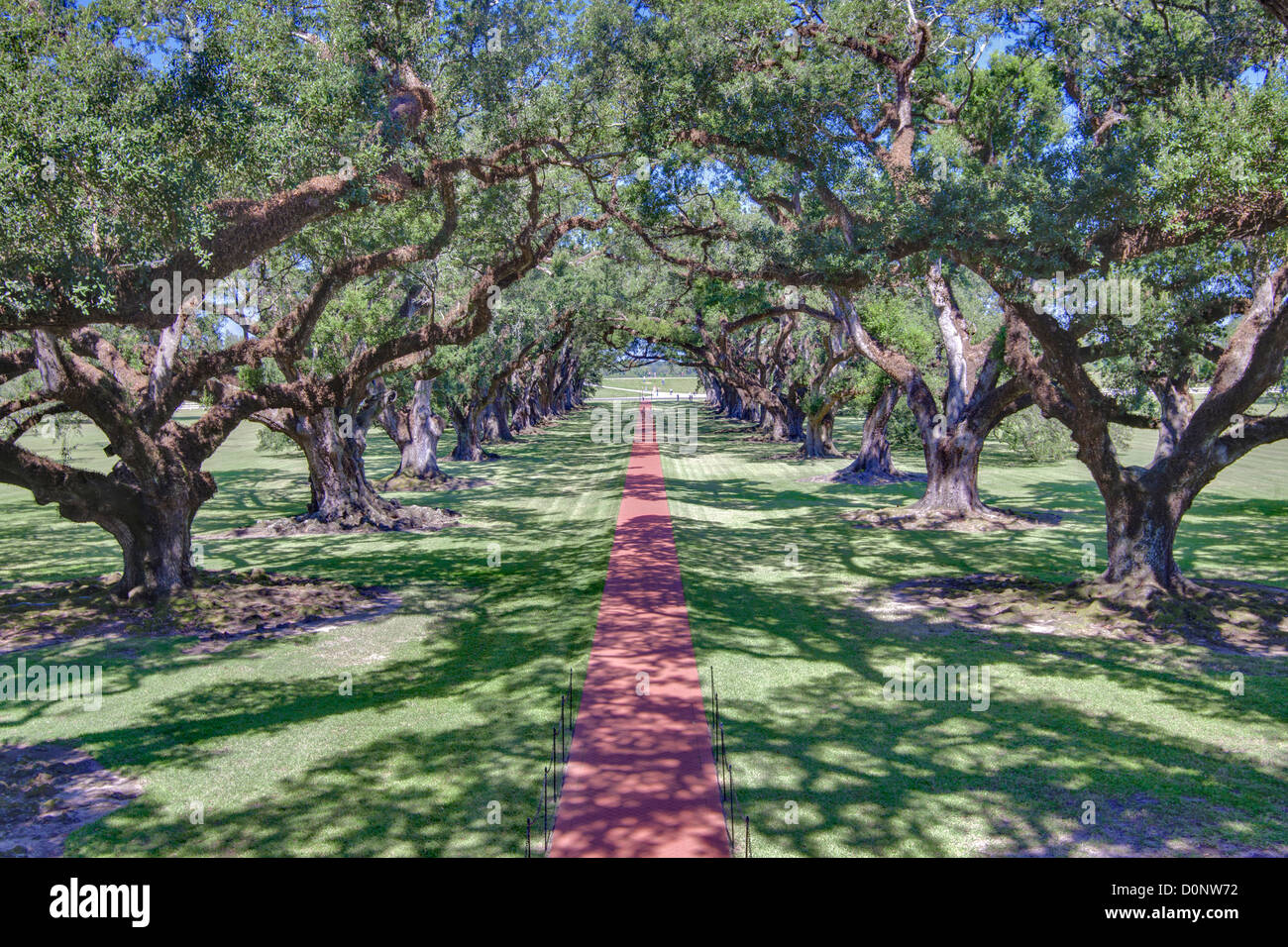 Oak alley plantation -Fotos und -Bildmaterial in hoher Auflösung – Alamy