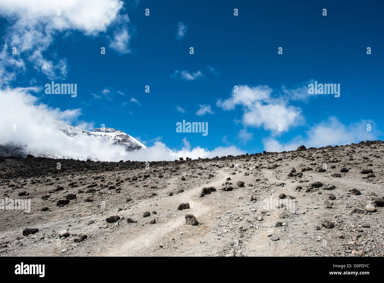MOUNT KILIMANJARO, Tansania – die alpine Wüstenzone entlang der Lemosho ...