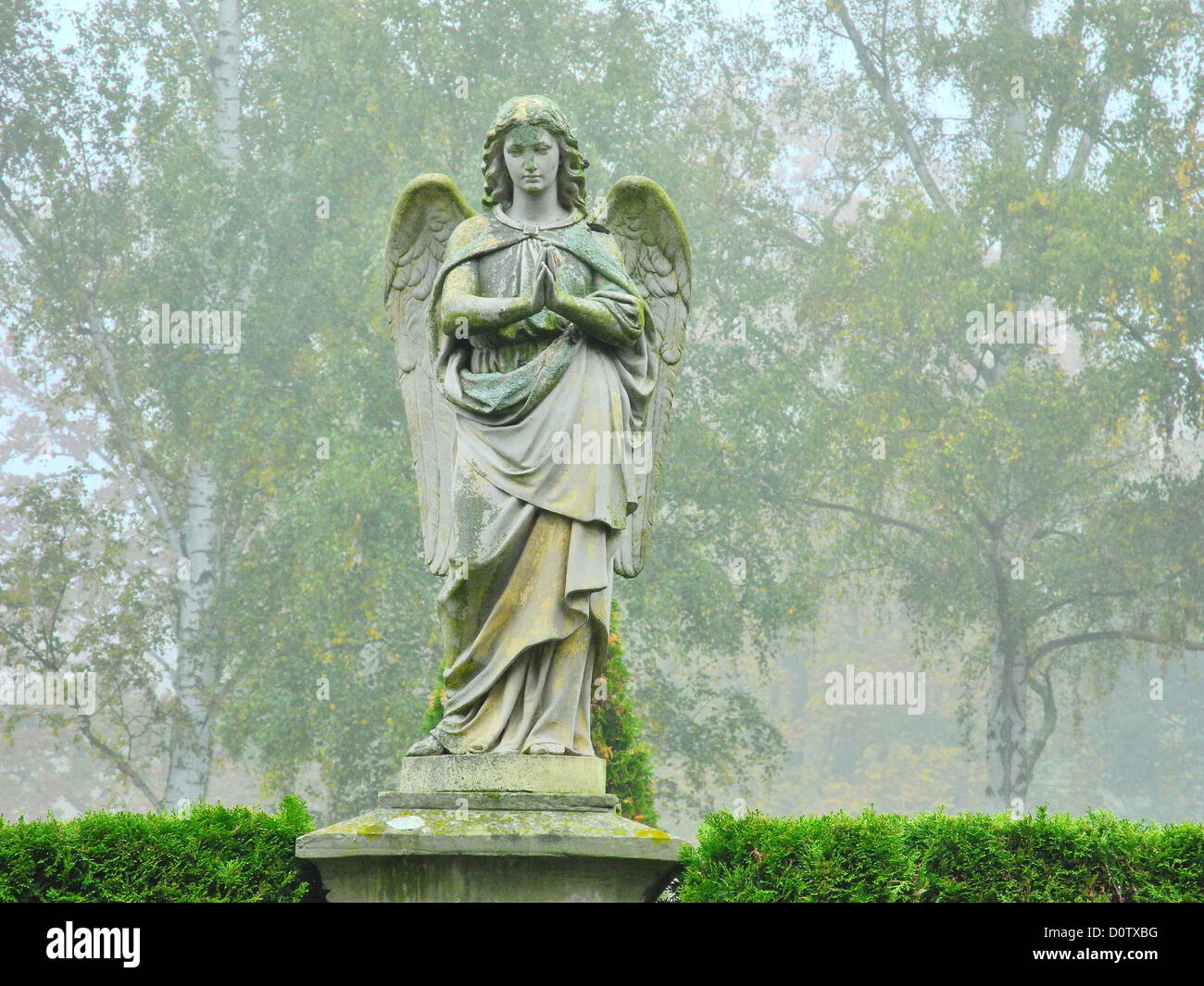 Engel frau -Fotos und -Bildmaterial in hoher Auflösung – Alamy