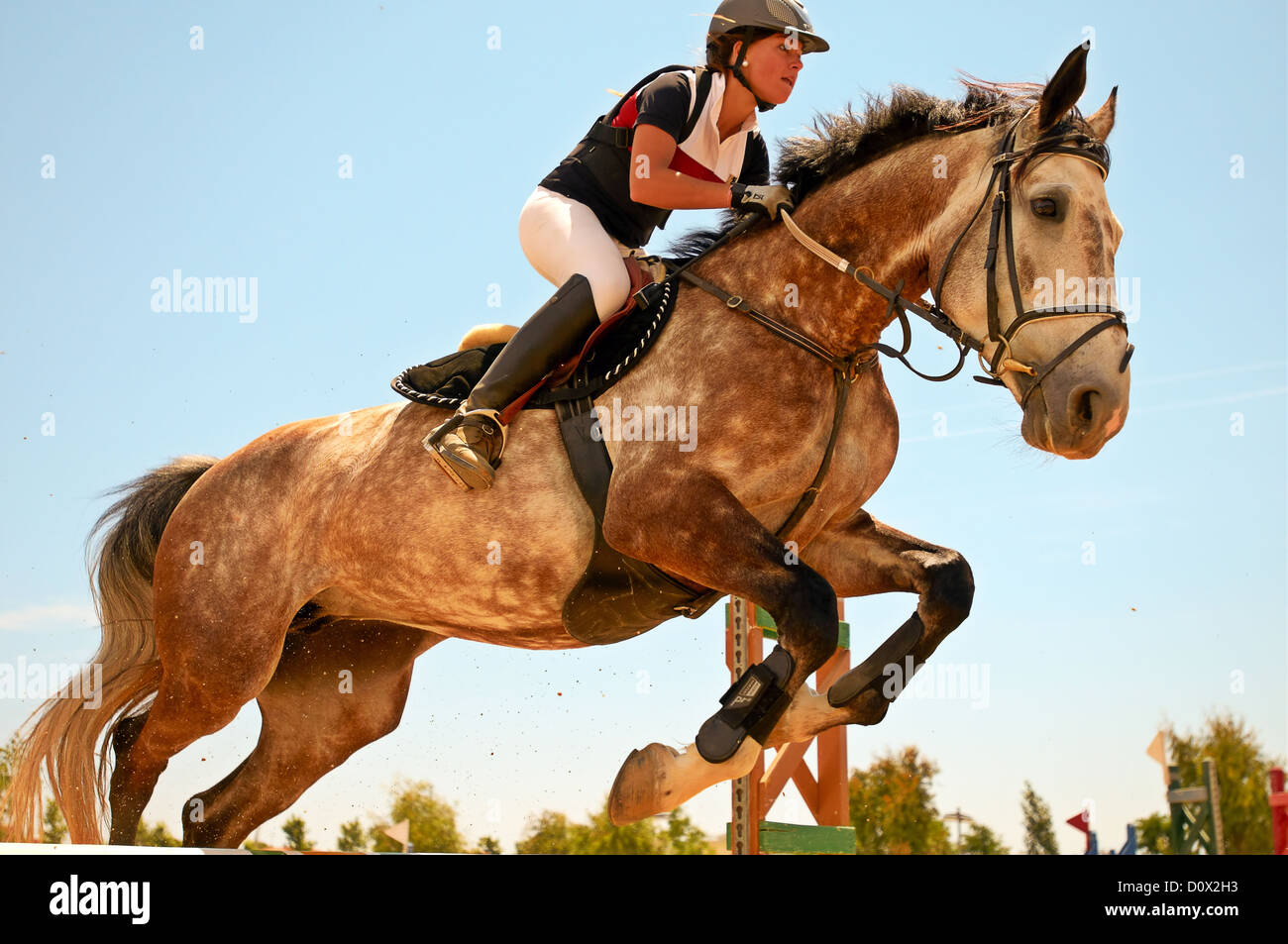Mann und pferd springen -Fotos und -Bildmaterial in hoher Auflösung – Alamy
