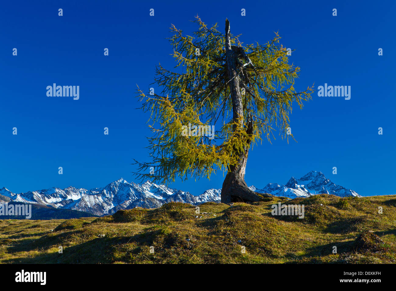 Mieming tyrol -Fotos und -Bildmaterial in hoher Auflösung - Seite 2 - Alamy