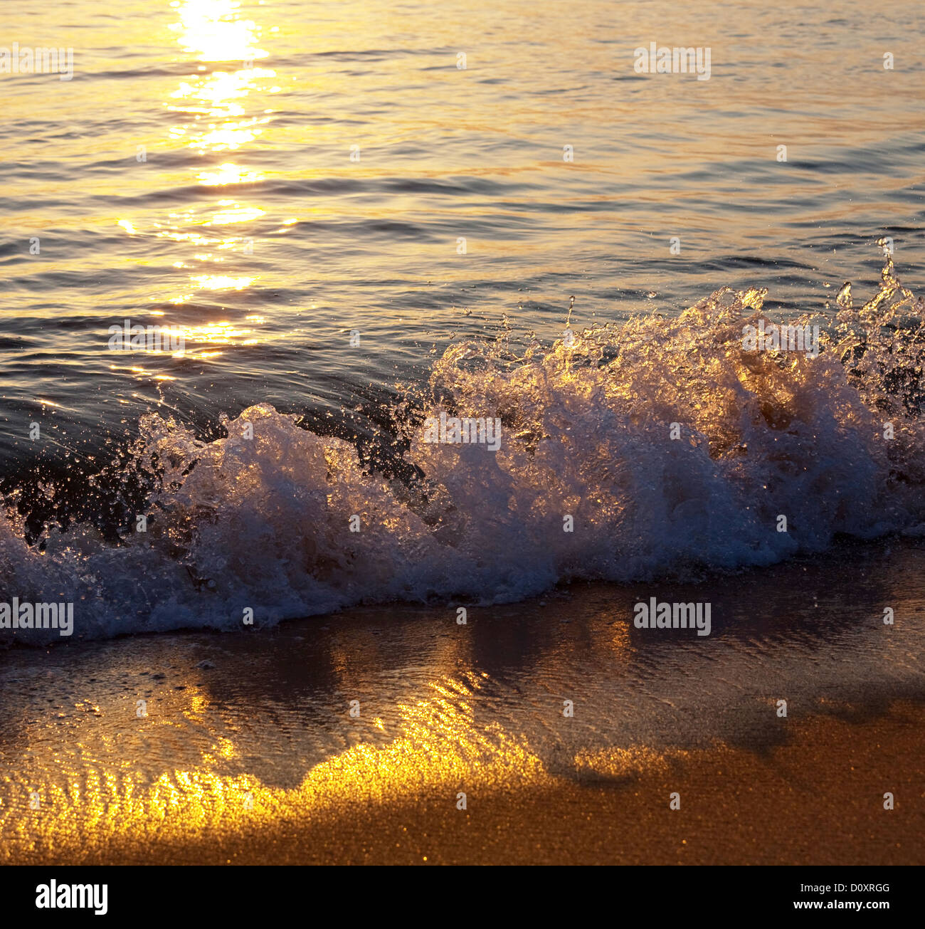 Welle am Strand Stockfotografie - Alamy