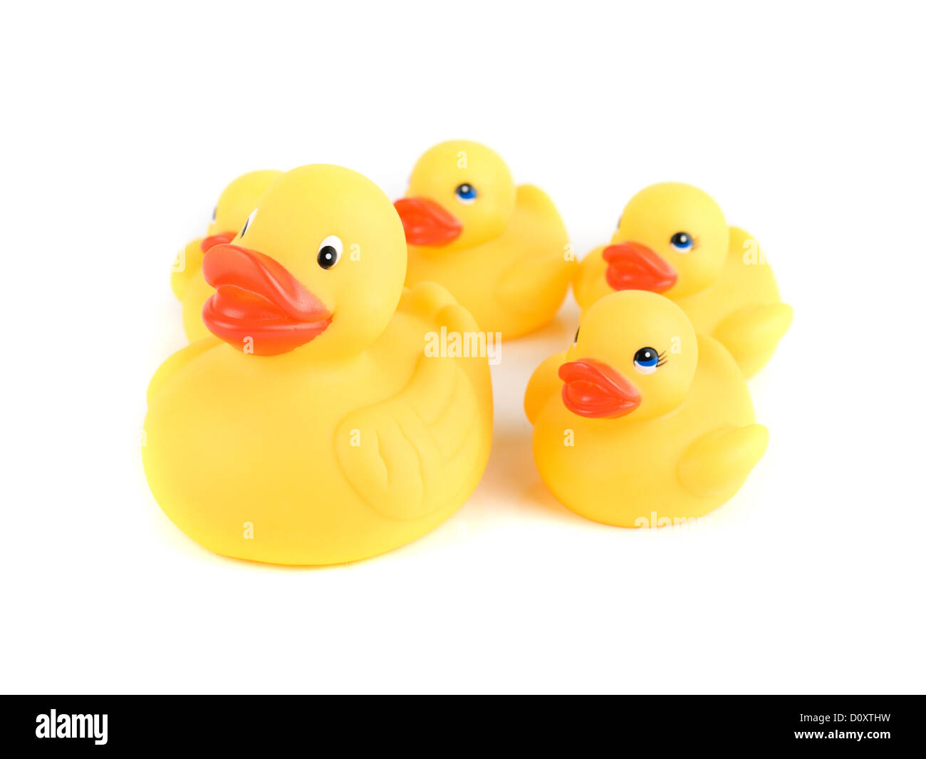 Gelbe plastikenten ente -Fotos und -Bildmaterial in hoher Auflösung – Alamy