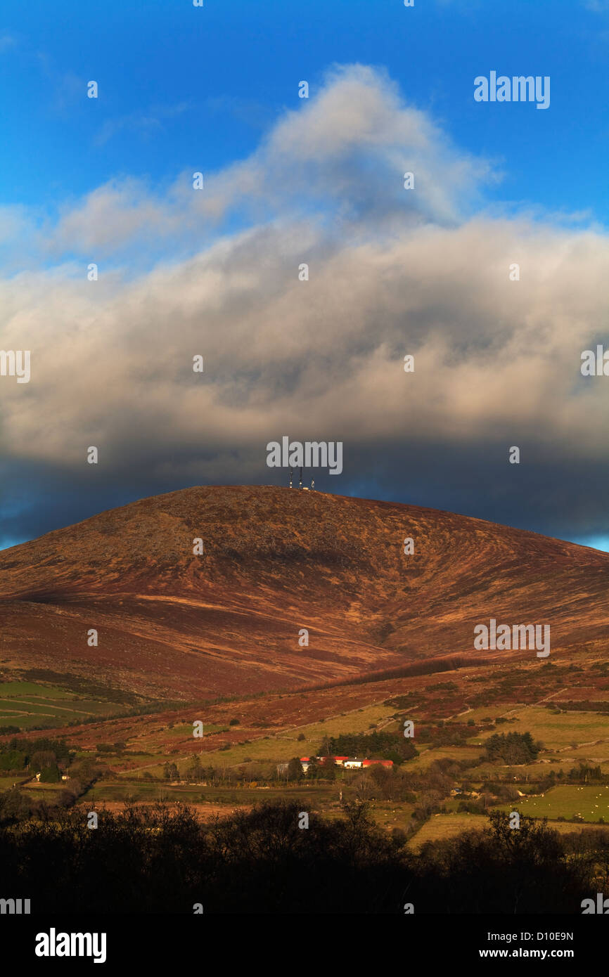 Mount Leinster, 796 m der höchste der Blackstairs Mountains, an der ...