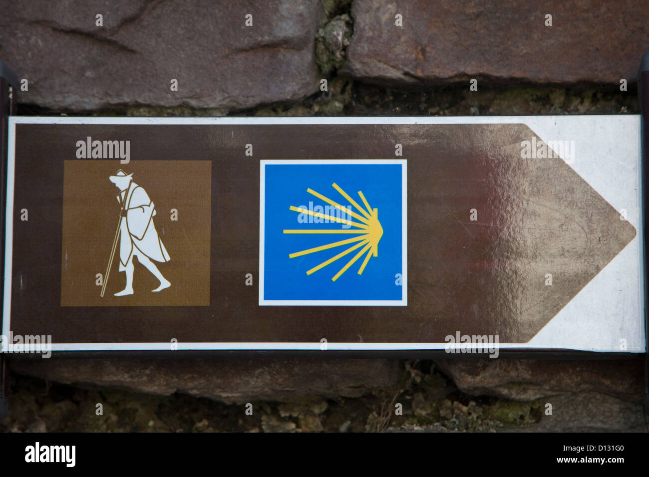 James Jakobsmuschel Schale Stockfotos und -bilder Kaufen - Alamy