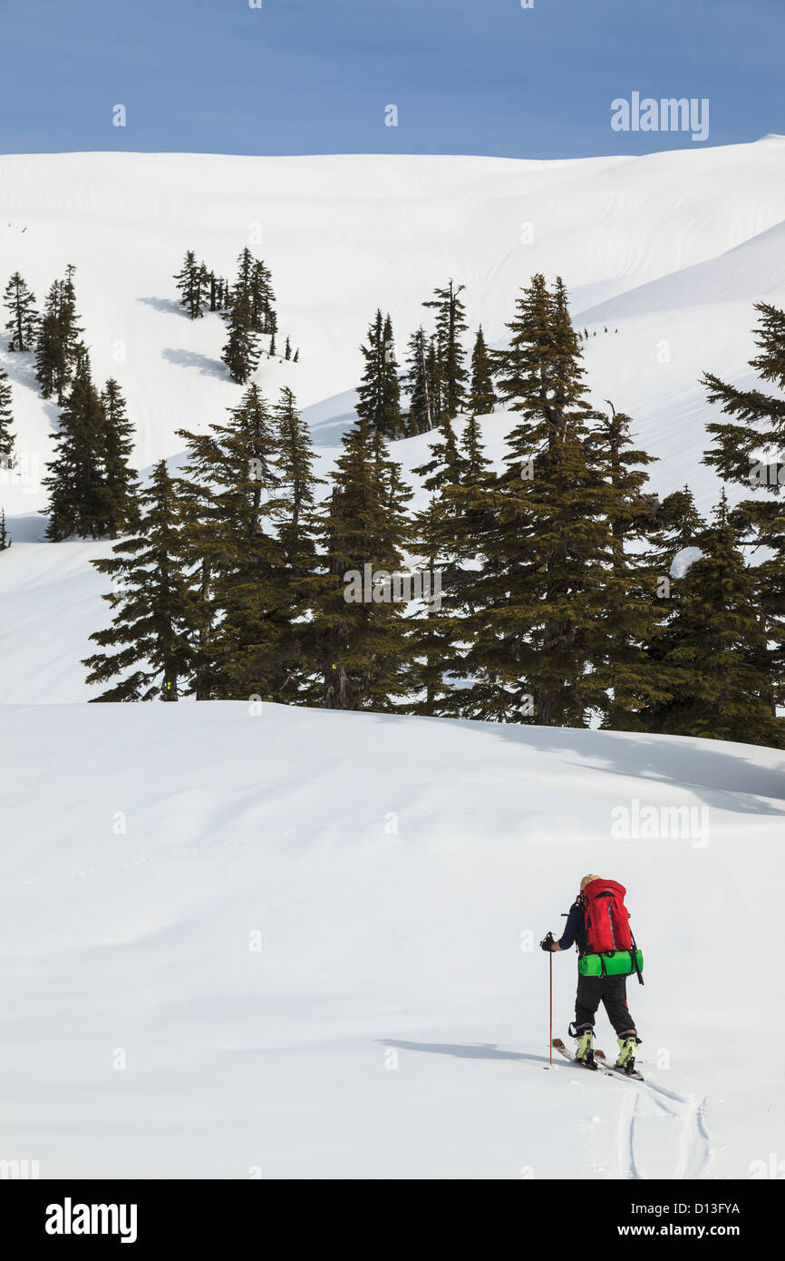 Skilangläufer auf Spur zu Edwards See Hütte und Mt. Steele Kabine im ...