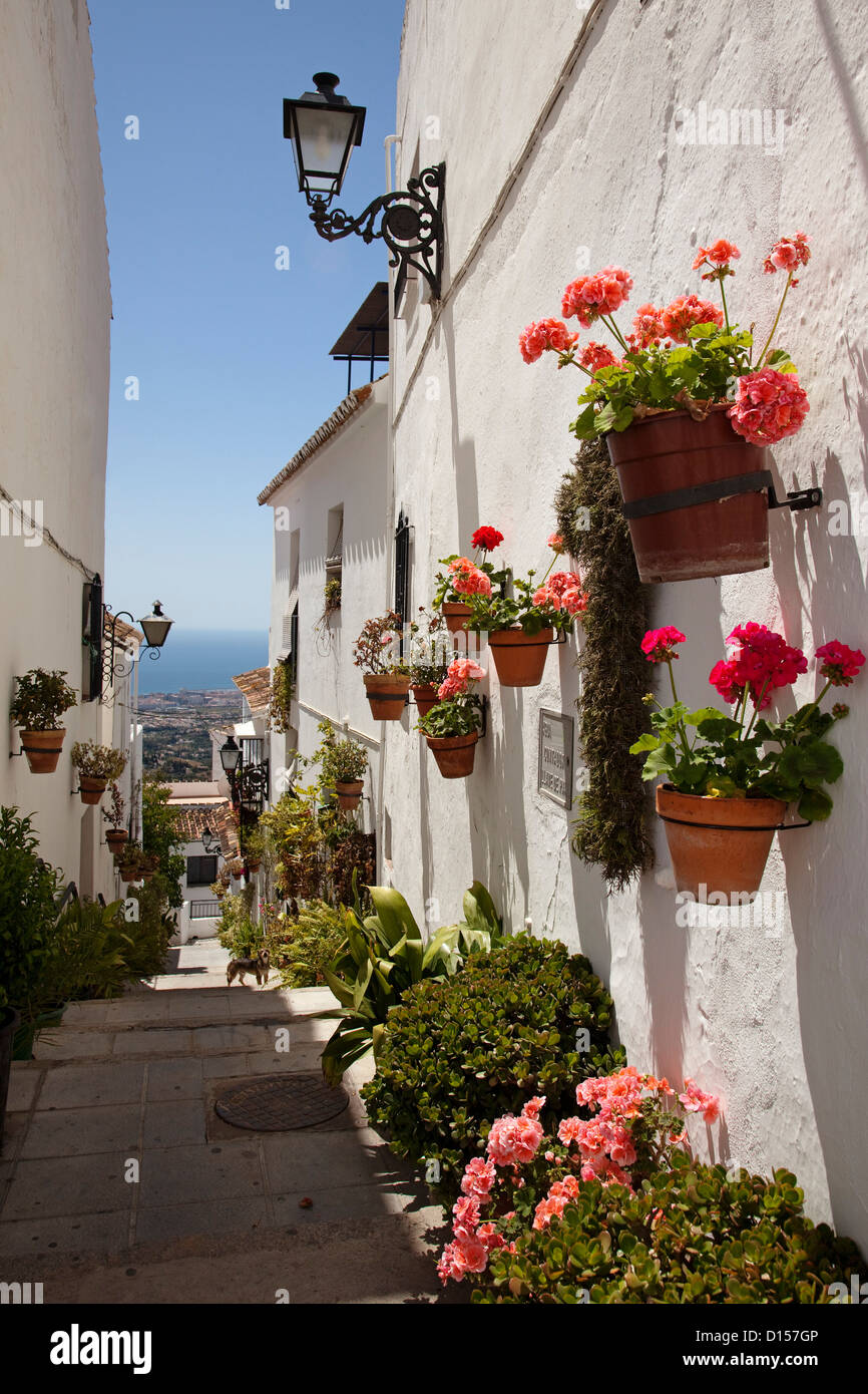 Straße mit Blumen weiße Dorf Mijas Costa del Sol Malaga Andalusien ...
