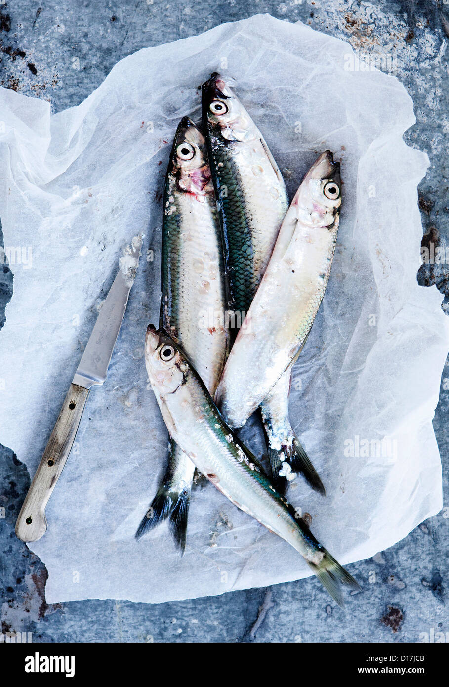 Messer Fisch Stockfotos und -bilder Kaufen - Alamy