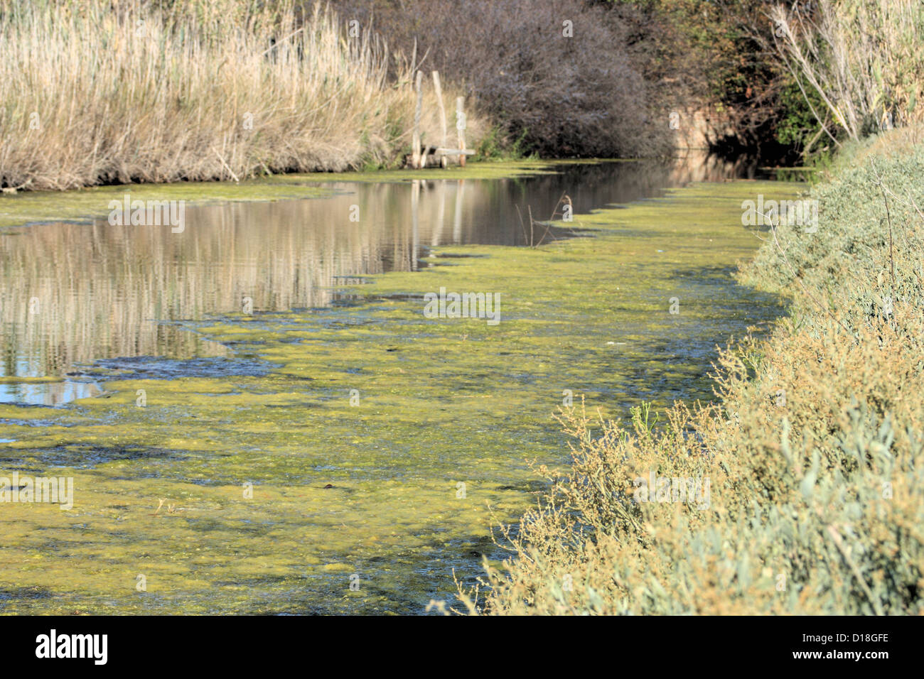 Vignole venice -Fotos und -Bildmaterial in hoher Auflösung – Alamy