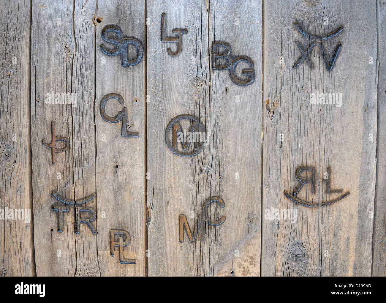 Cowboy branding cow branding iron -Fotos und -Bildmaterial in hoher ...