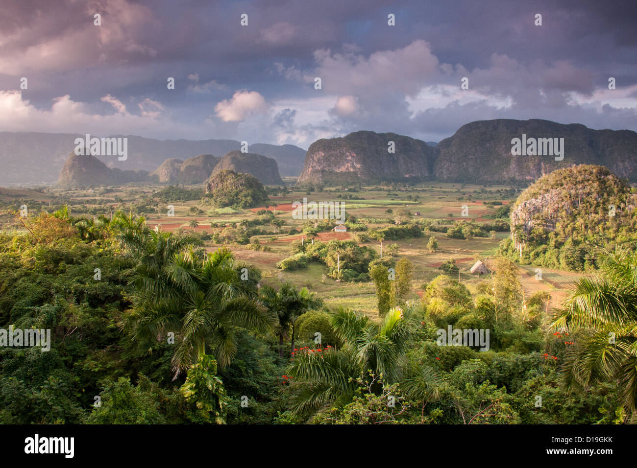 Das Valle de Vinales im Abendlicht mit "Mogotes" oder Kalkstein Säulen ...