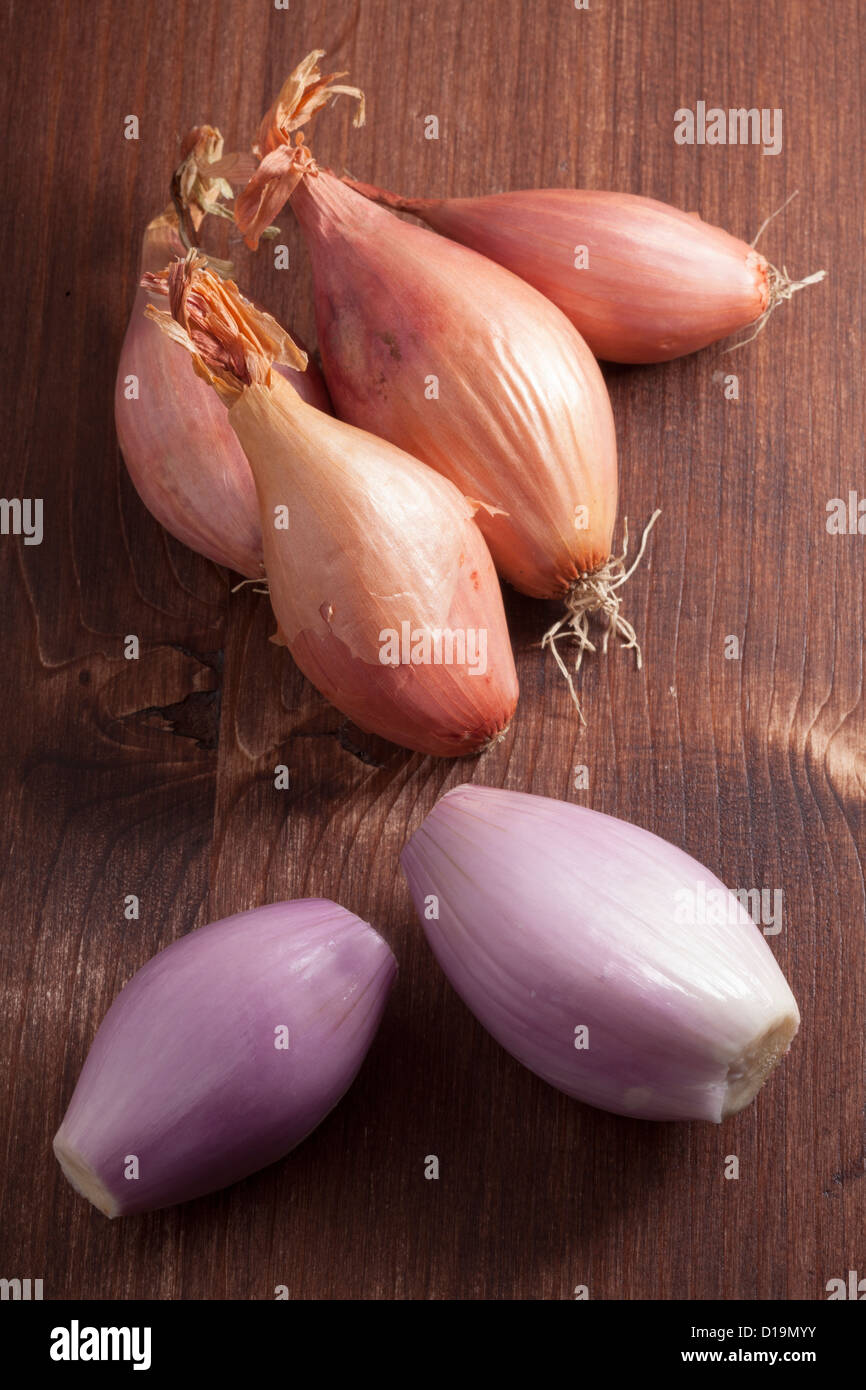 Shallot shallots -Fotos und -Bildmaterial in hoher Auflösung – Alamy