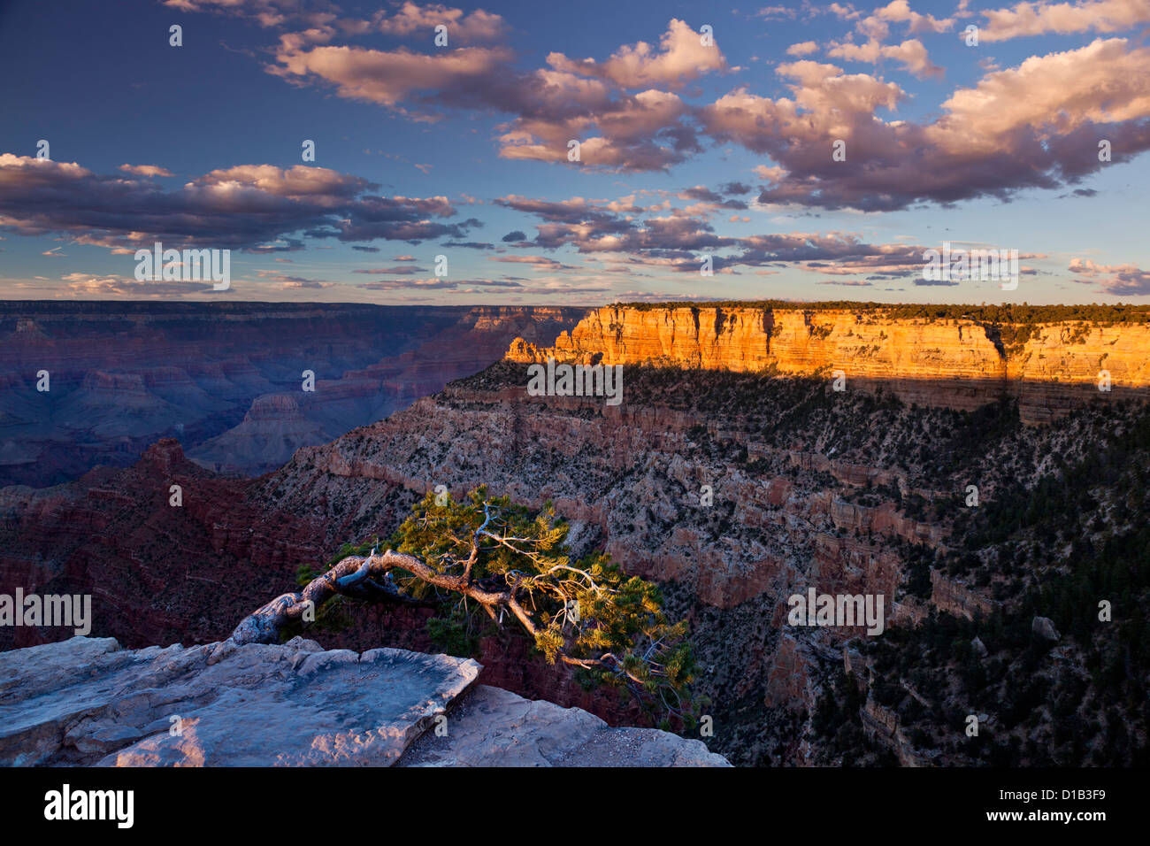 Rohr bach -Fotos und -Bildmaterial in hoher Auflösung – Alamy