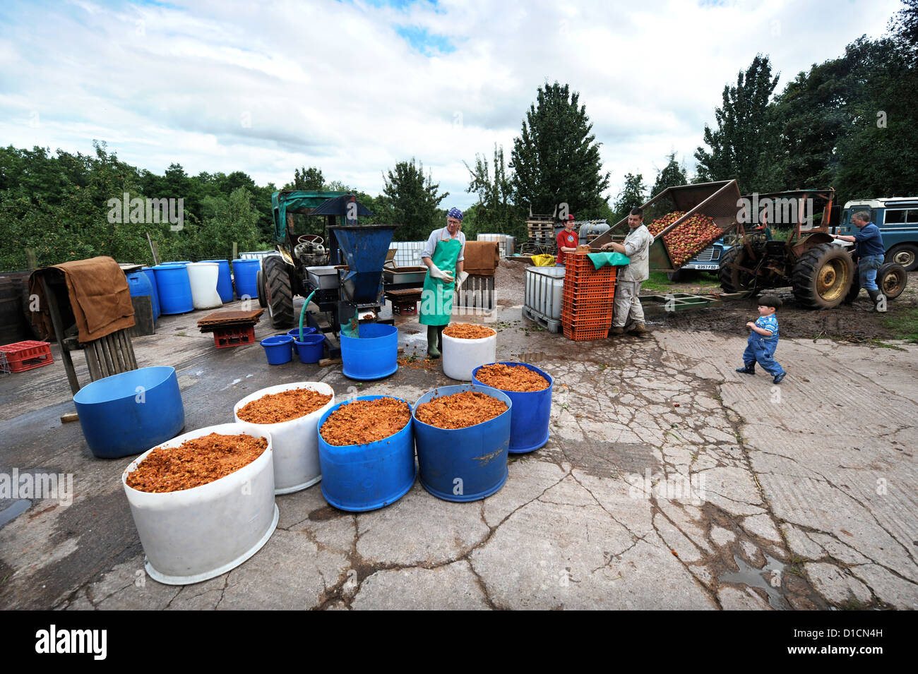 Apfelweinpresse mit barrel orchard -Fotos und -Bildmaterial in hoher ...
