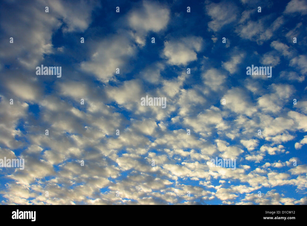 Small cumulus clouds -Fotos und -Bildmaterial in hoher Auflösung – Alamy