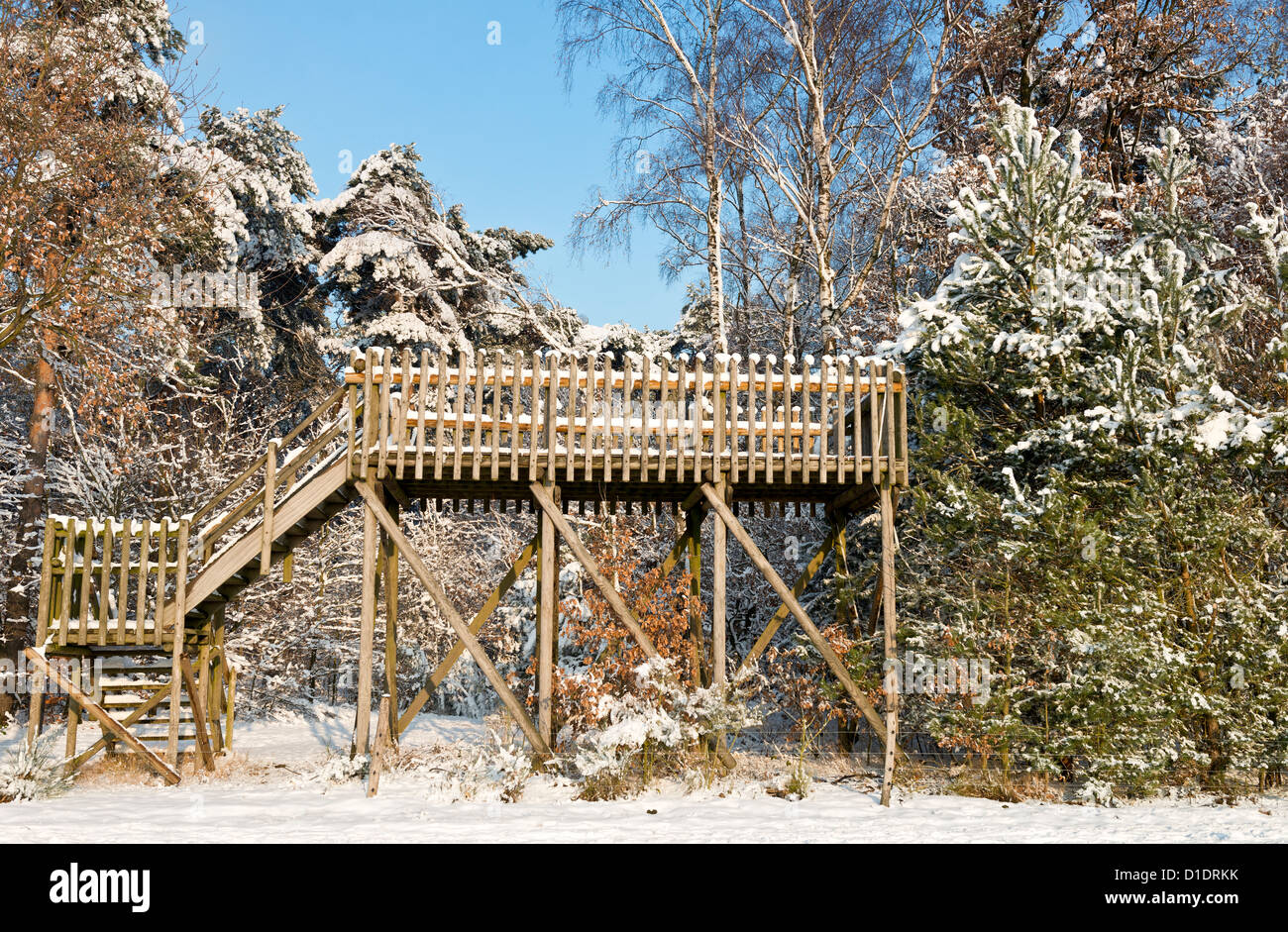 Panorama platform -Fotos und -Bildmaterial in hoher Auflösung – Alamy