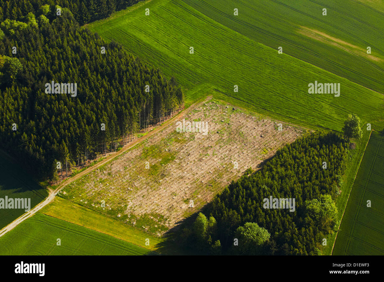 Wiesen und felder mit wald -Fotos und -Bildmaterial in hoher Auflösung ...