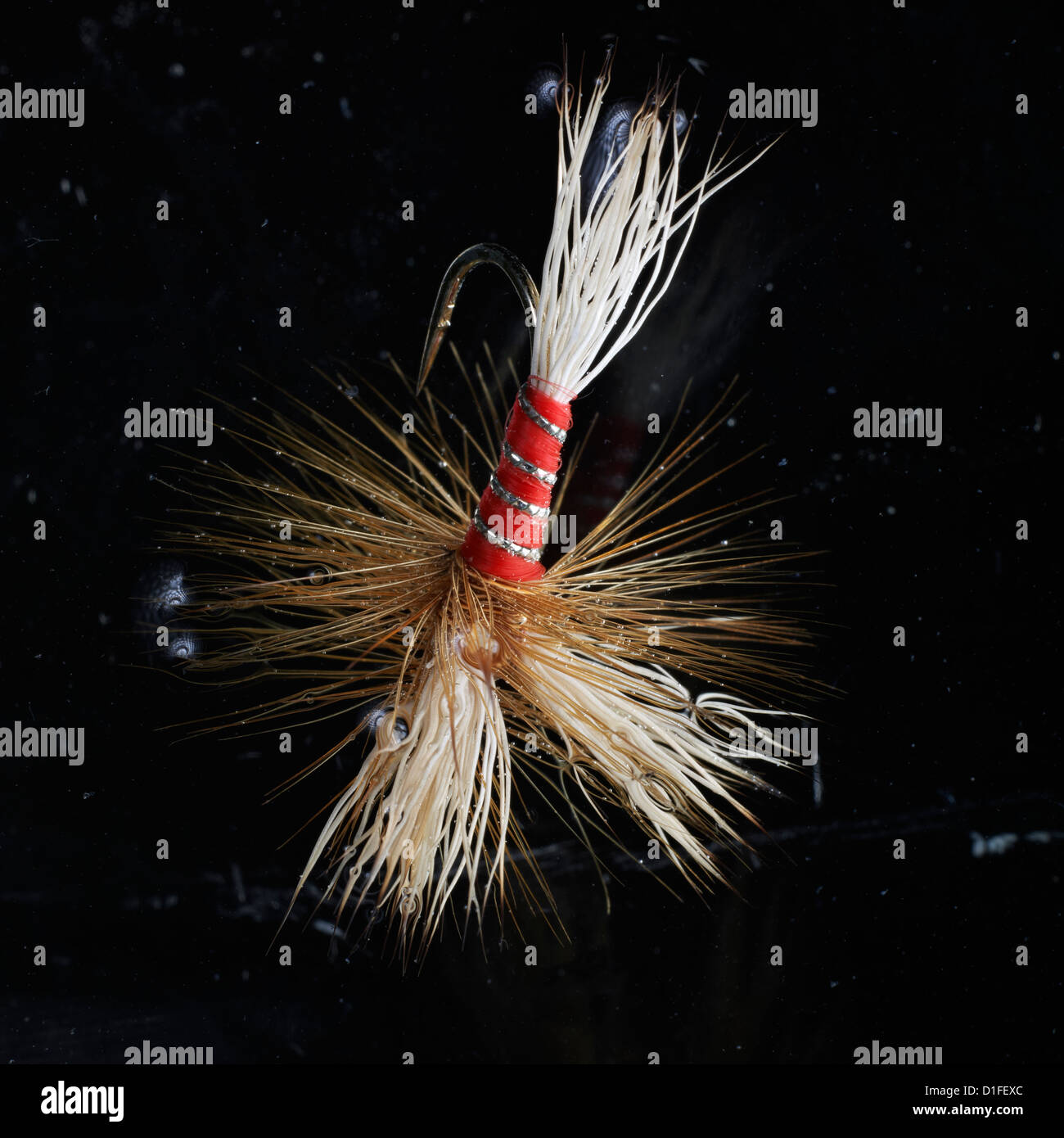 Fliegenfischen nymphenfliegen -Fotos und -Bildmaterial in hoher ...