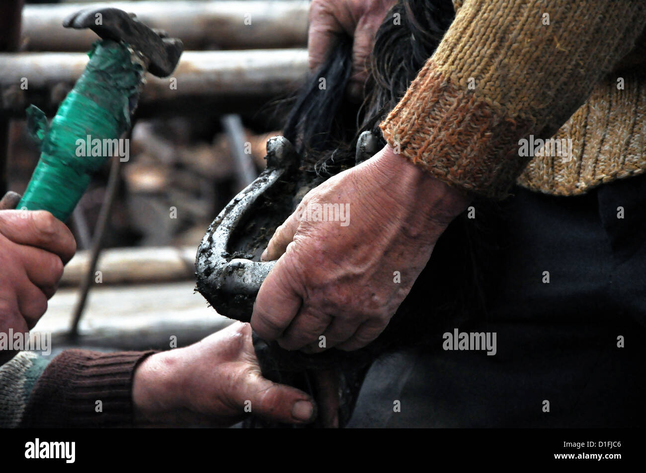 Hufschmied hat ein pferd beschlagen -Fotos und -Bildmaterial in hoher ...