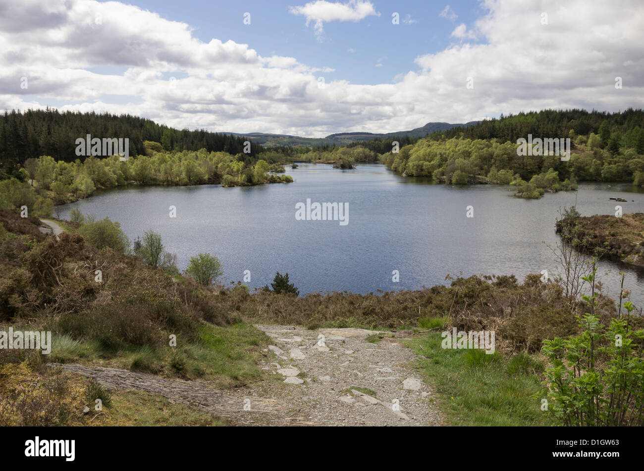 Hohen Blick über Llyn Elsi Reservoir in den Gwydyr Wald von Snowdonia ...