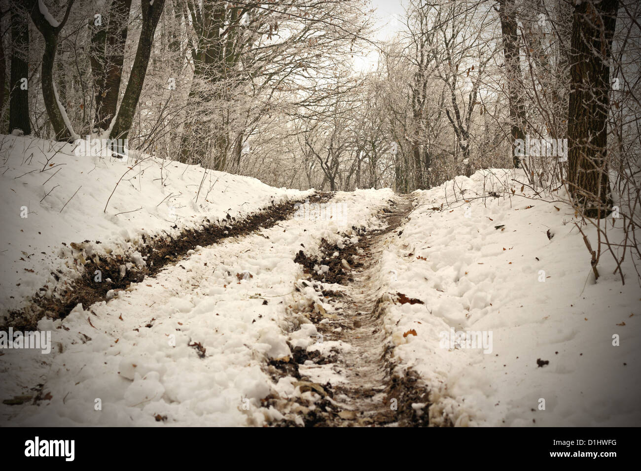 Vintage wald -Fotos und -Bildmaterial in hoher Auflösung – Alamy