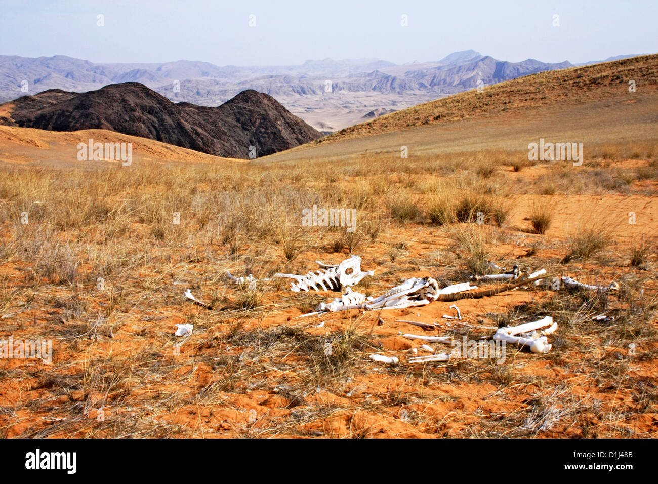 Hartmann valley -Fotos und -Bildmaterial in hoher Auflösung – Alamy