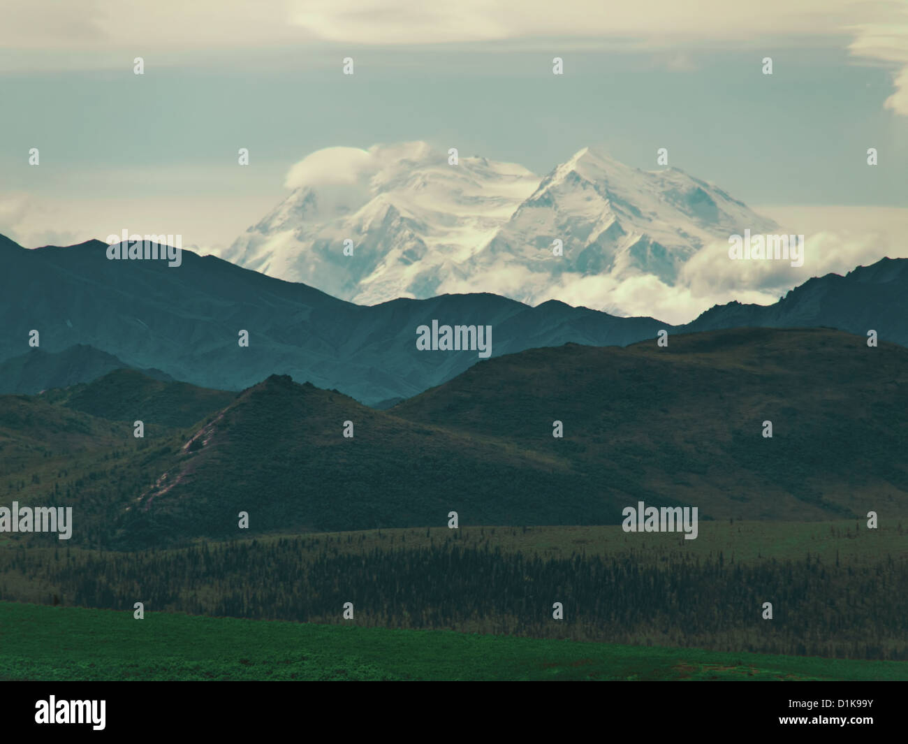 Mckinley wald -Fotos und -Bildmaterial in hoher Auflösung – Alamy