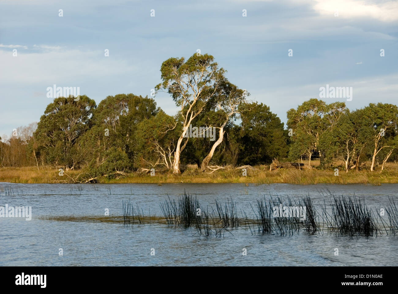 Wingecarribee river -Fotos und -Bildmaterial in hoher Auflösung – Alamy