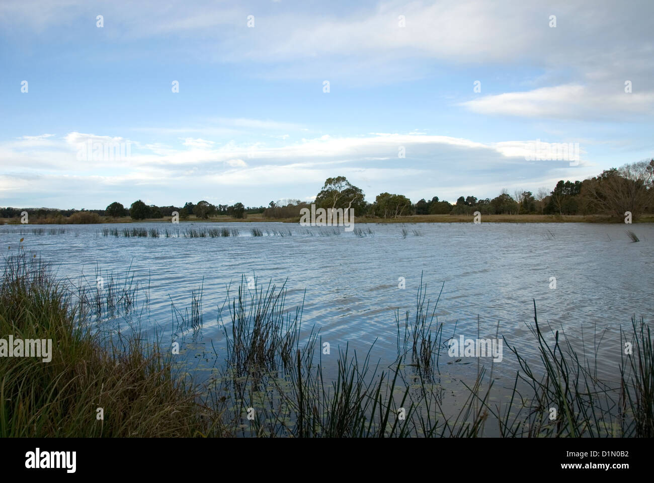 Wingecarribee river -Fotos und -Bildmaterial in hoher Auflösung – Alamy