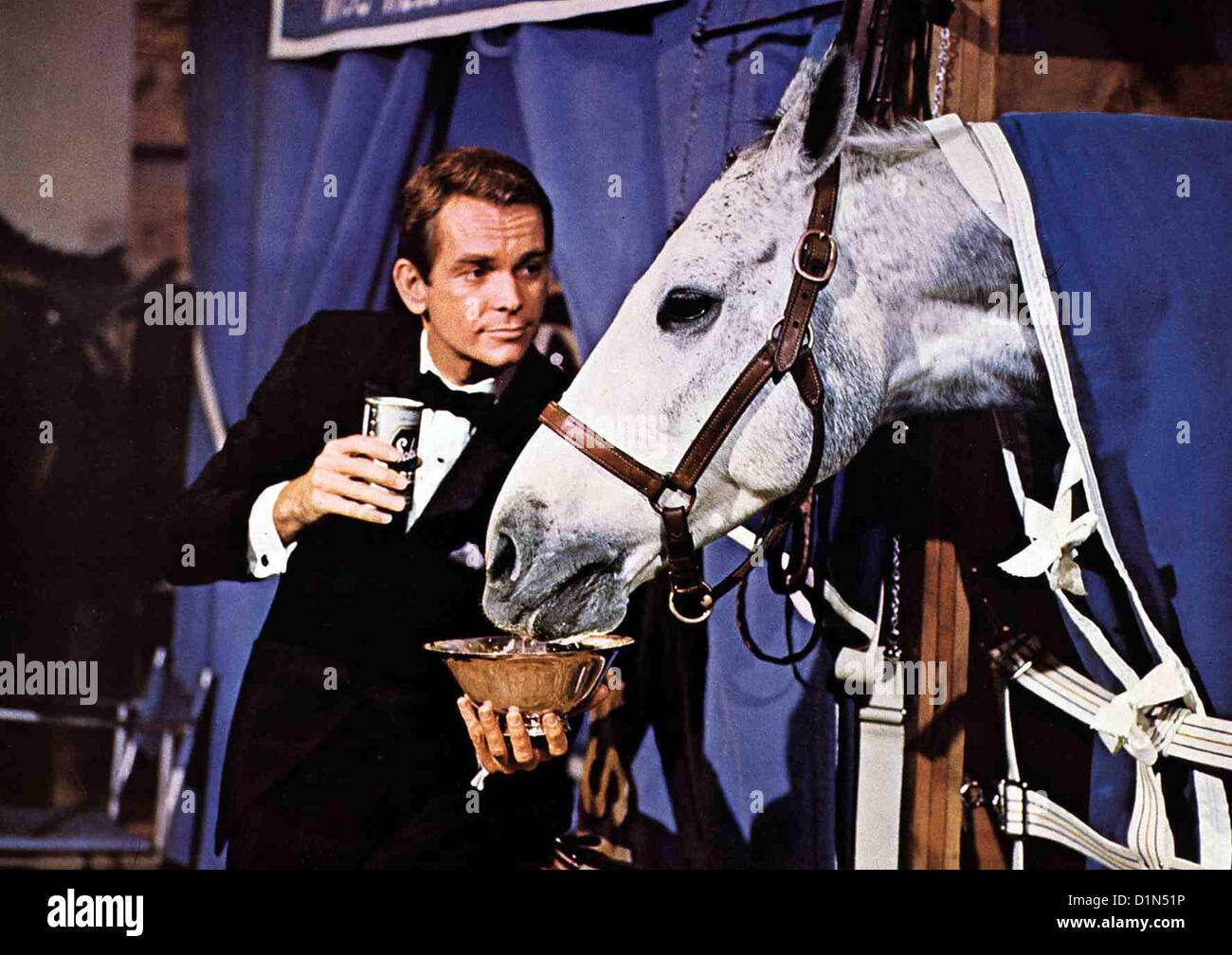 Das pferd im grauen flanellanzug -Fotos und -Bildmaterial in hoher ...