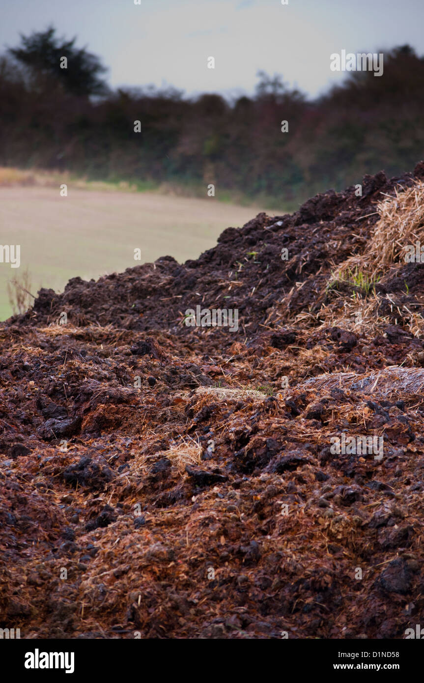 Misthaufen auf dem feld -Fotos und -Bildmaterial in hoher Auflösung – Alamy