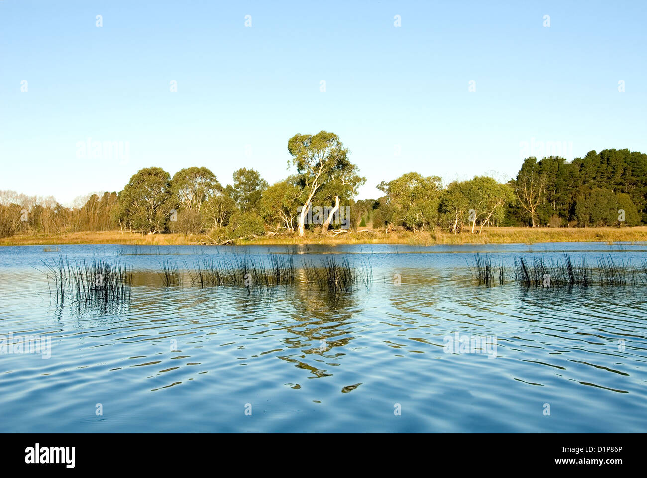 Wingecarribee river -Fotos und -Bildmaterial in hoher Auflösung – Alamy