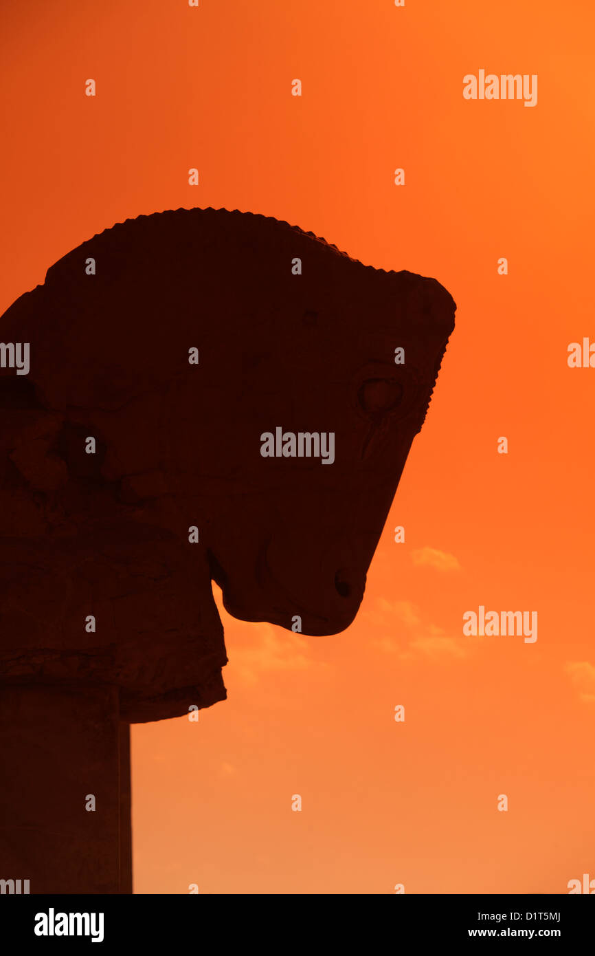 Head persepolis iran -Fotos und -Bildmaterial in hoher Auflösung – Alamy