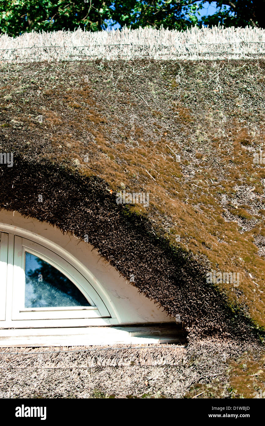 German thatched roof -Fotos und -Bildmaterial in hoher Auflösung – Alamy